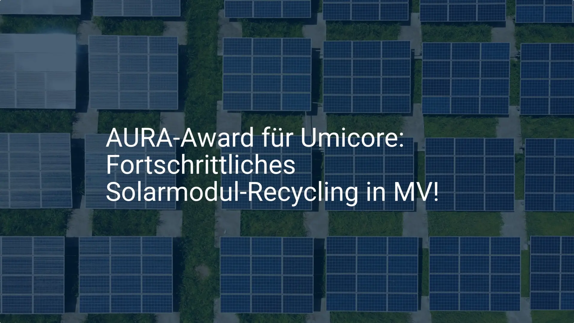 AURA-Award für Umicore: Fortschrittliches Solarmodul-Recycling in MV ...